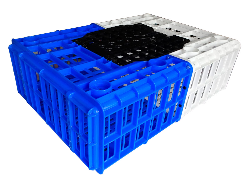 Jabas / Cajas - INVER ZM